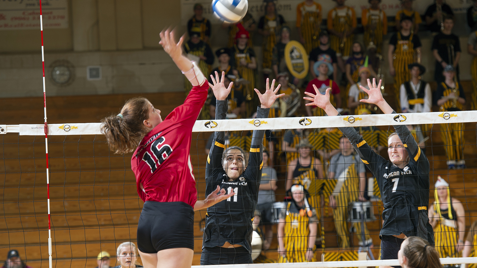 Emma Turnquist - Women's Volleyball - Davenport University Athletics