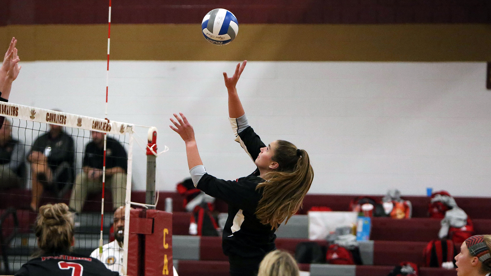 Megan Herr - Women's Volleyball - Davenport University Athletics