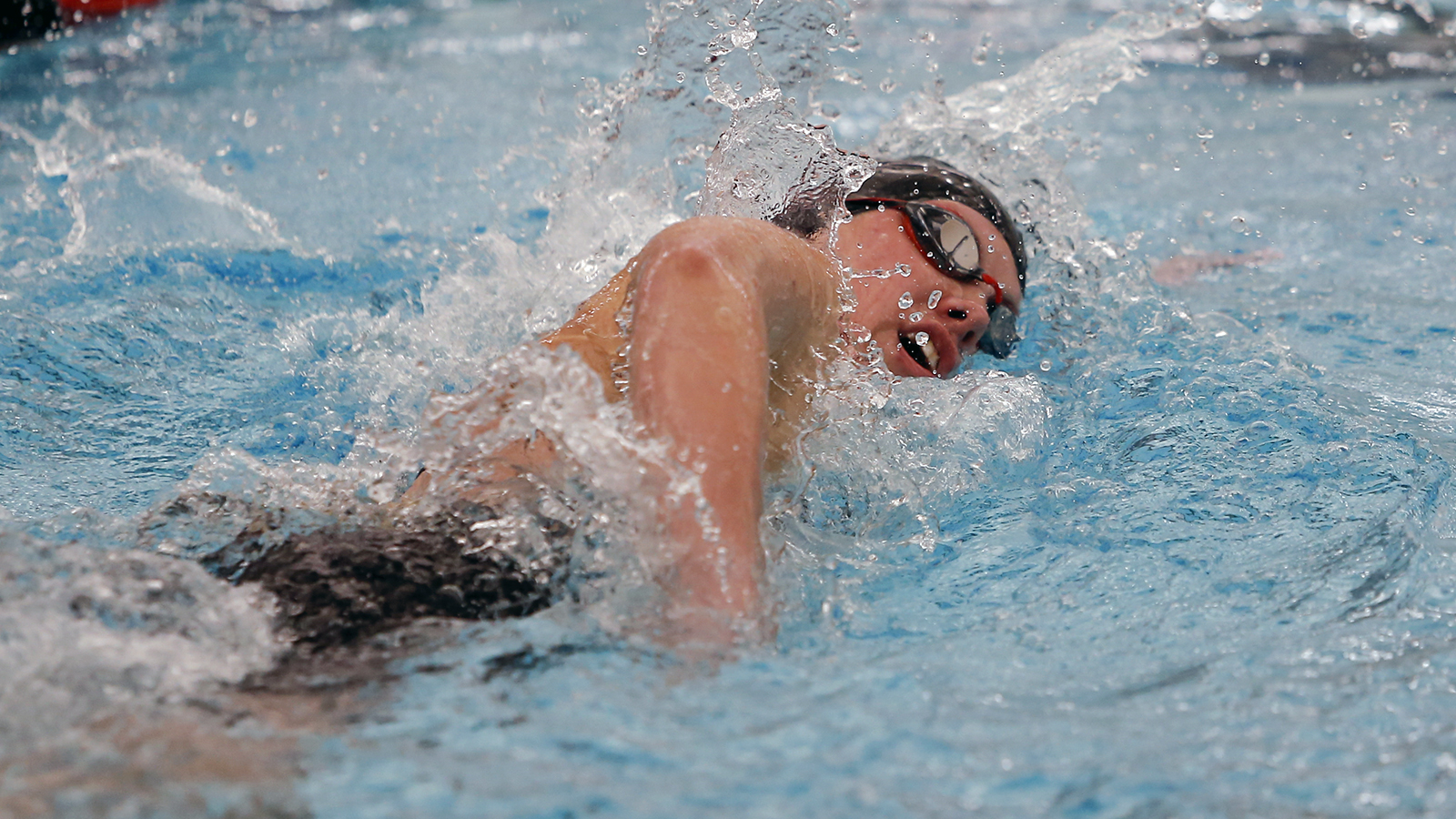 Hannah Gnatt - Women's Swimming and Diving - Davenport University Athletics