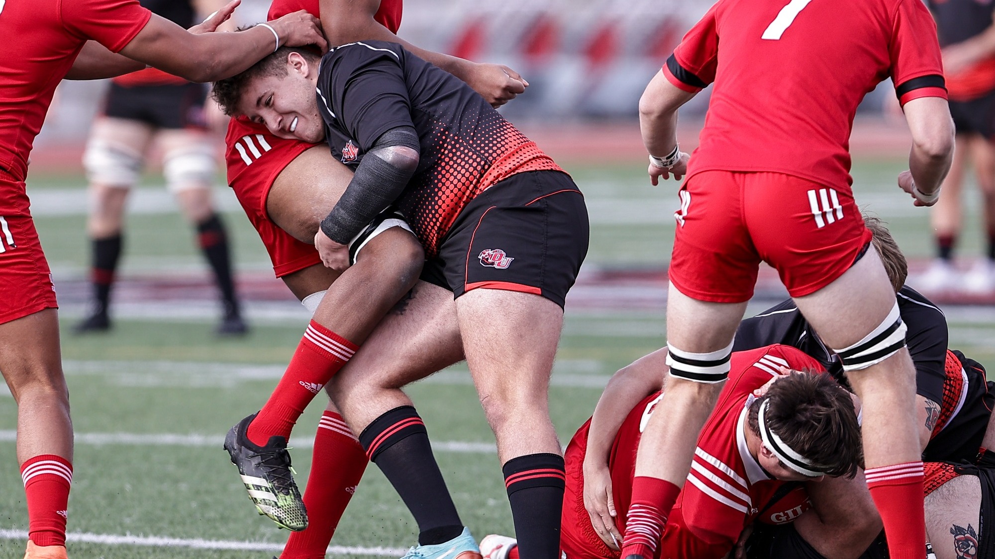 Panthers done in by late surge from Arkansas State - Davenport ...