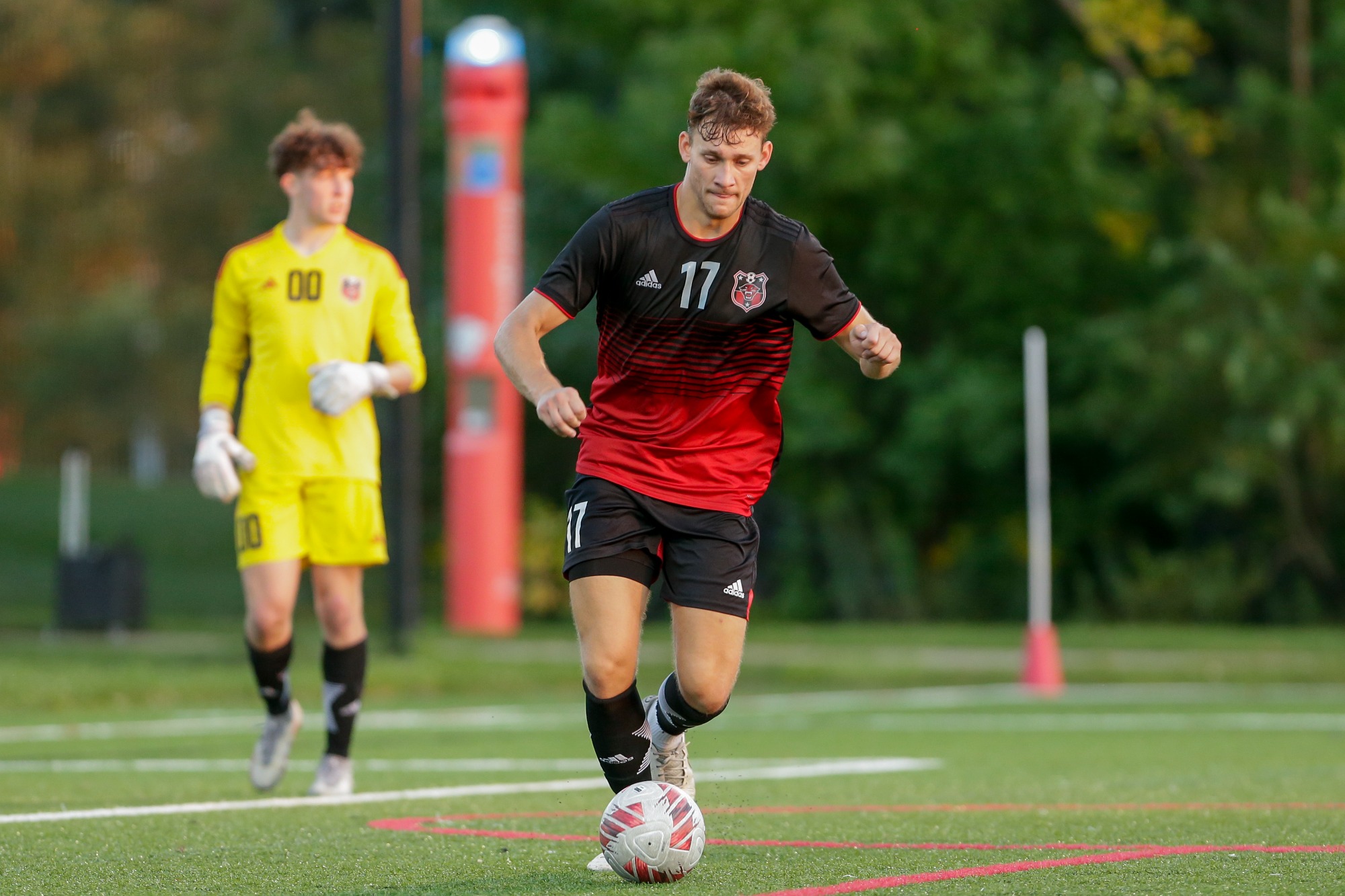 Strong first half by Panthers overcame by Parkside - Davenport ...