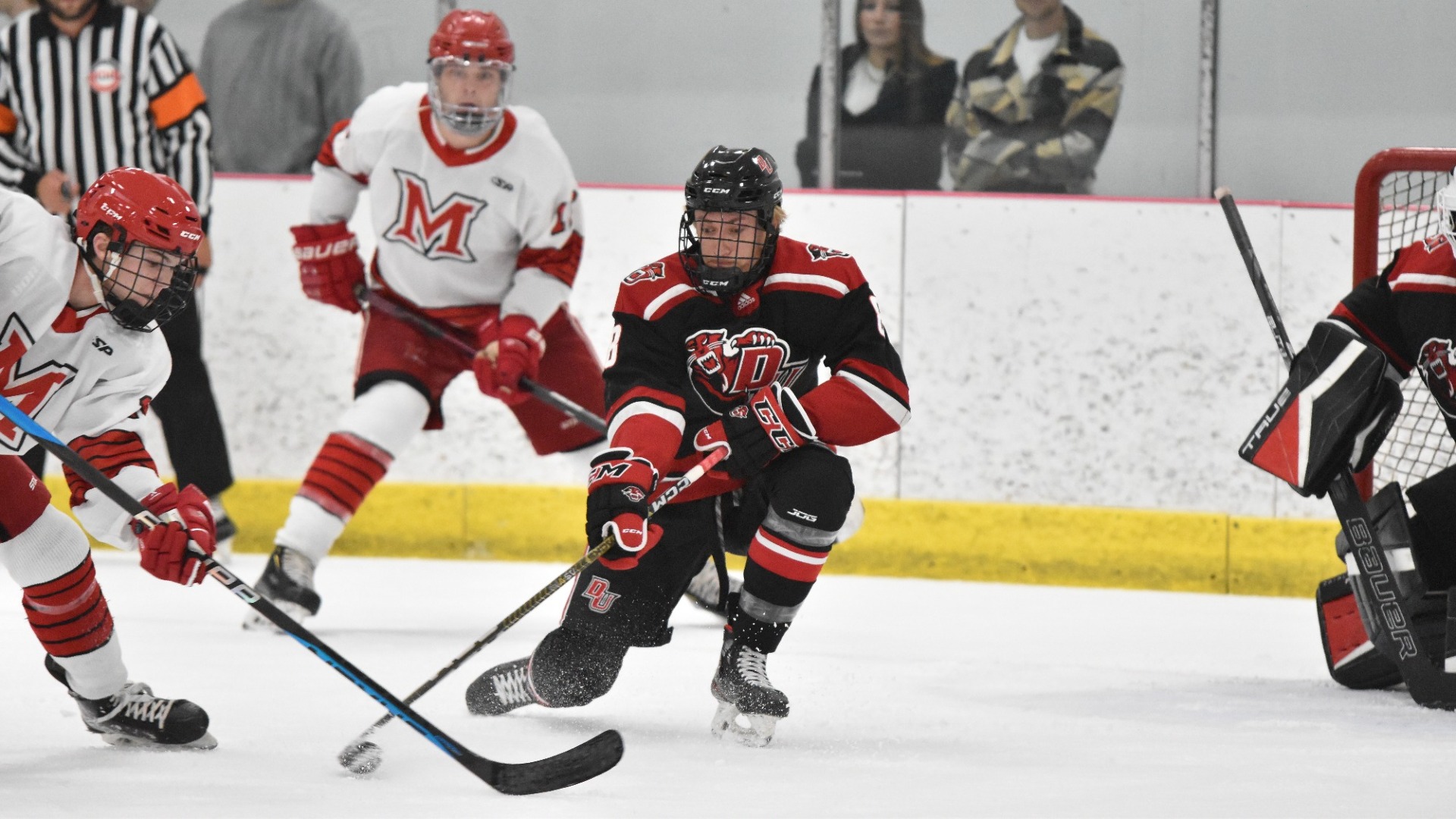 Matthew Sweetland - Men's Ice Hockey (DIII) - Davenport University ...