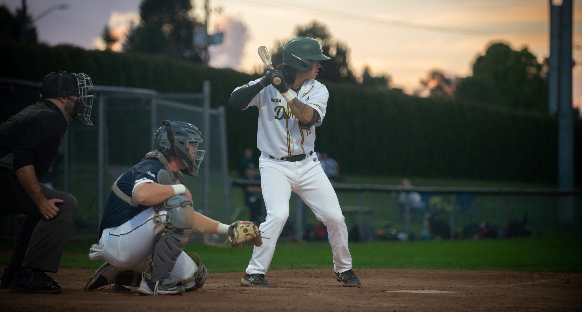 Tyler Chong - 2022-23 - Men's Baseball - Durham College Athletics