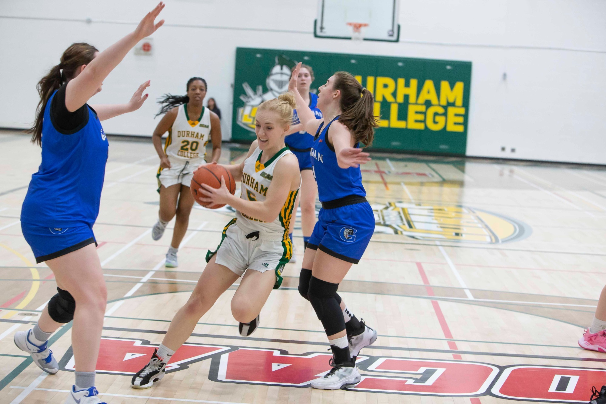 Hannah Heimonen - 2022-23 - Women's Basketball - Durham College Athletics