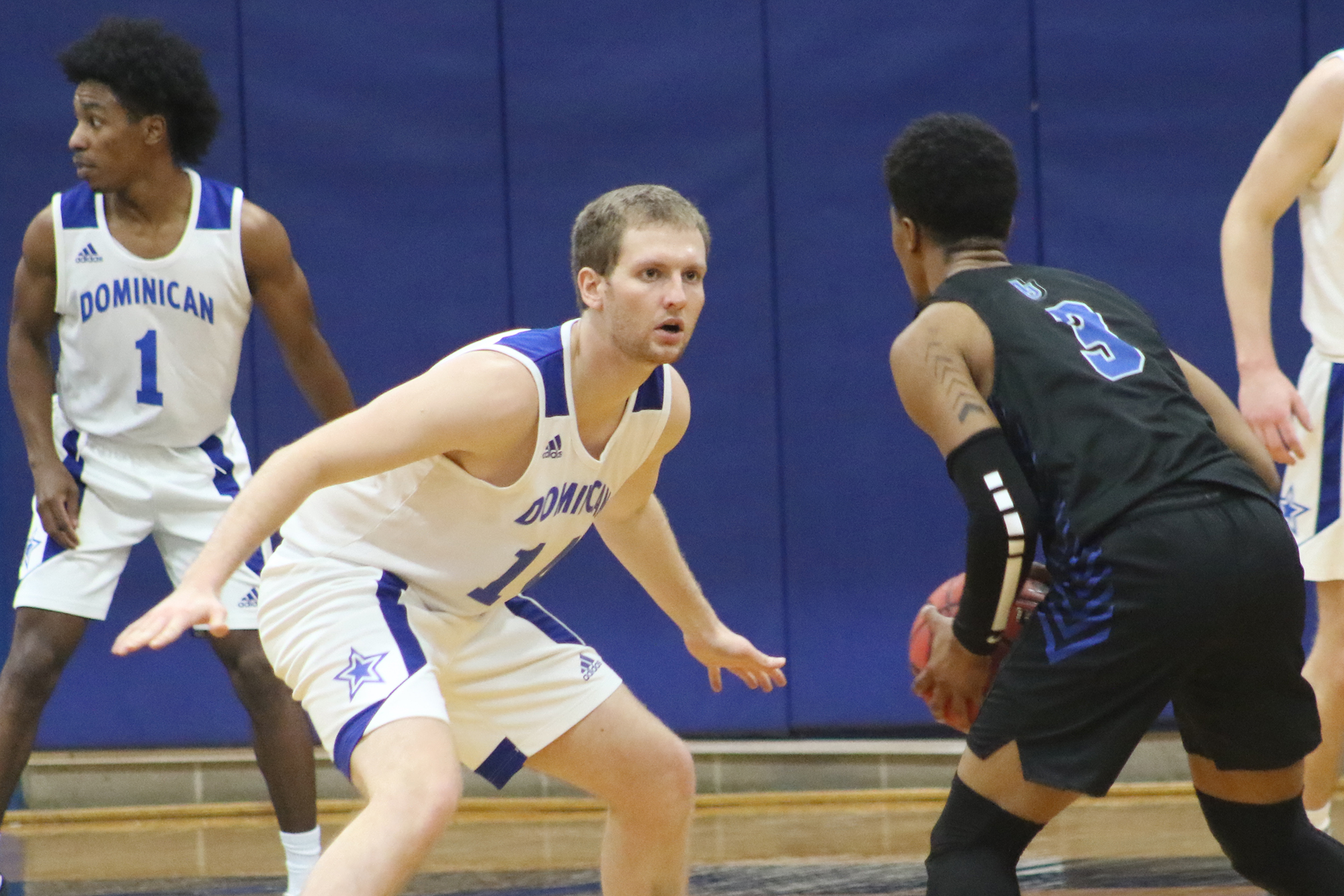 Luke McDermott - 2020-21 - Men's Basketball - Dominican University ...