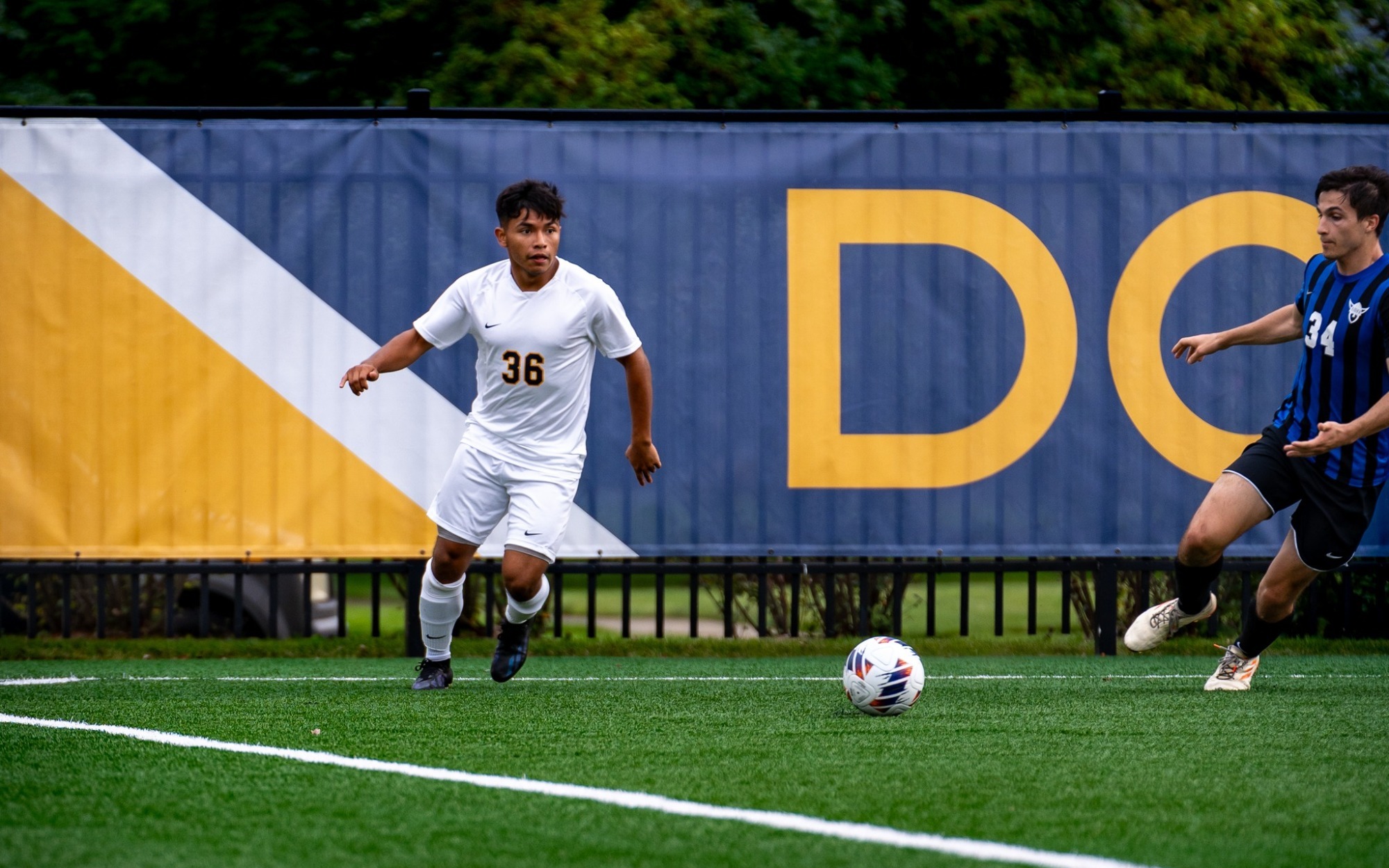 Stars Win Final Game at Home - Dominican University Athletics