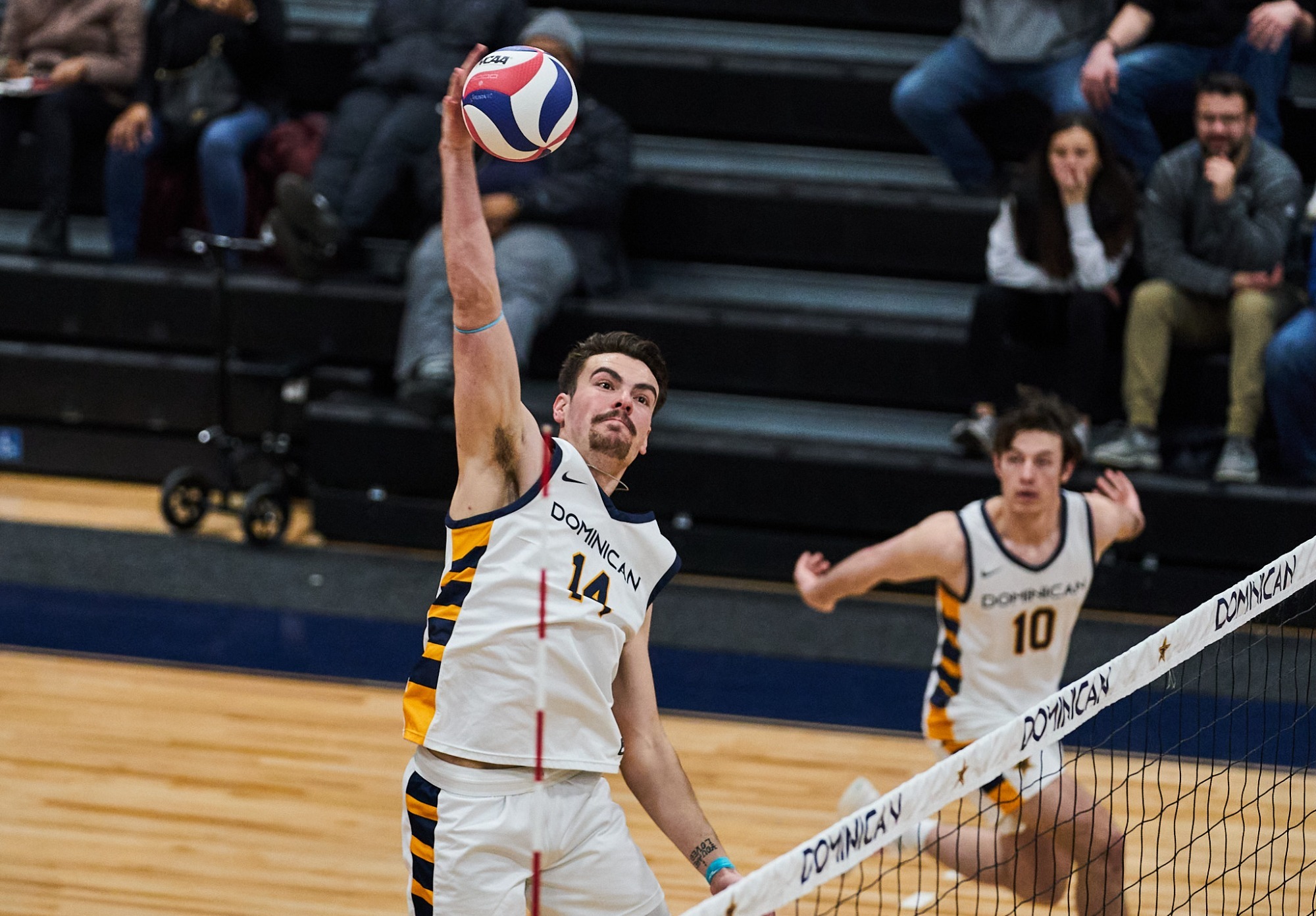 Stars Dominate for Fourth Straight Win - Dominican University Athletics
