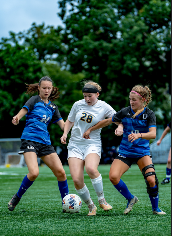 Stars Win Big on Homecoming - Dominican University Athletics