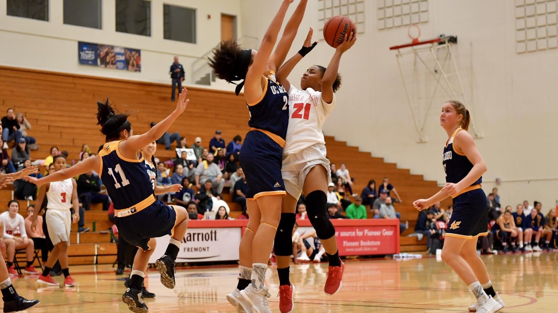 Kayla Blair - Women's Basketball - Cal State East Bay University Athletics