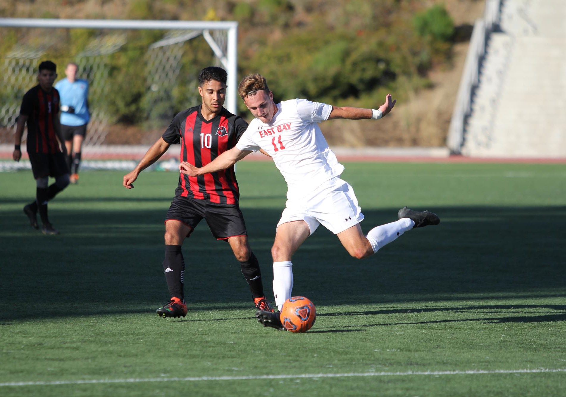 Zack Mason - Men's Soccer - Cal State East Bay University Athletics