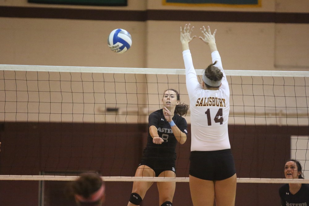 Erin Gibson Voleibol