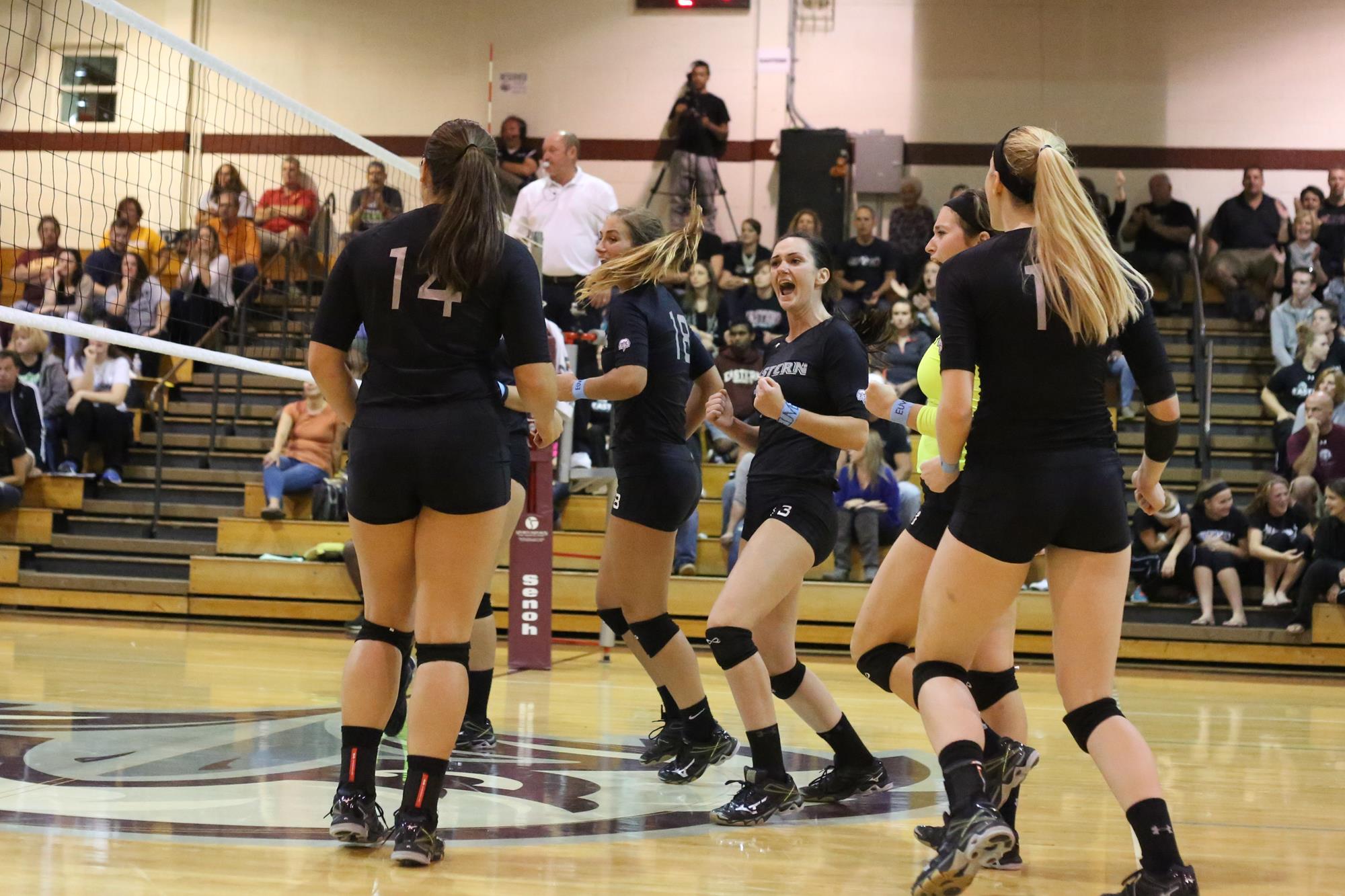 Lauren Sproles - 2014 - Women's Volleyball - Eastern University Athletics