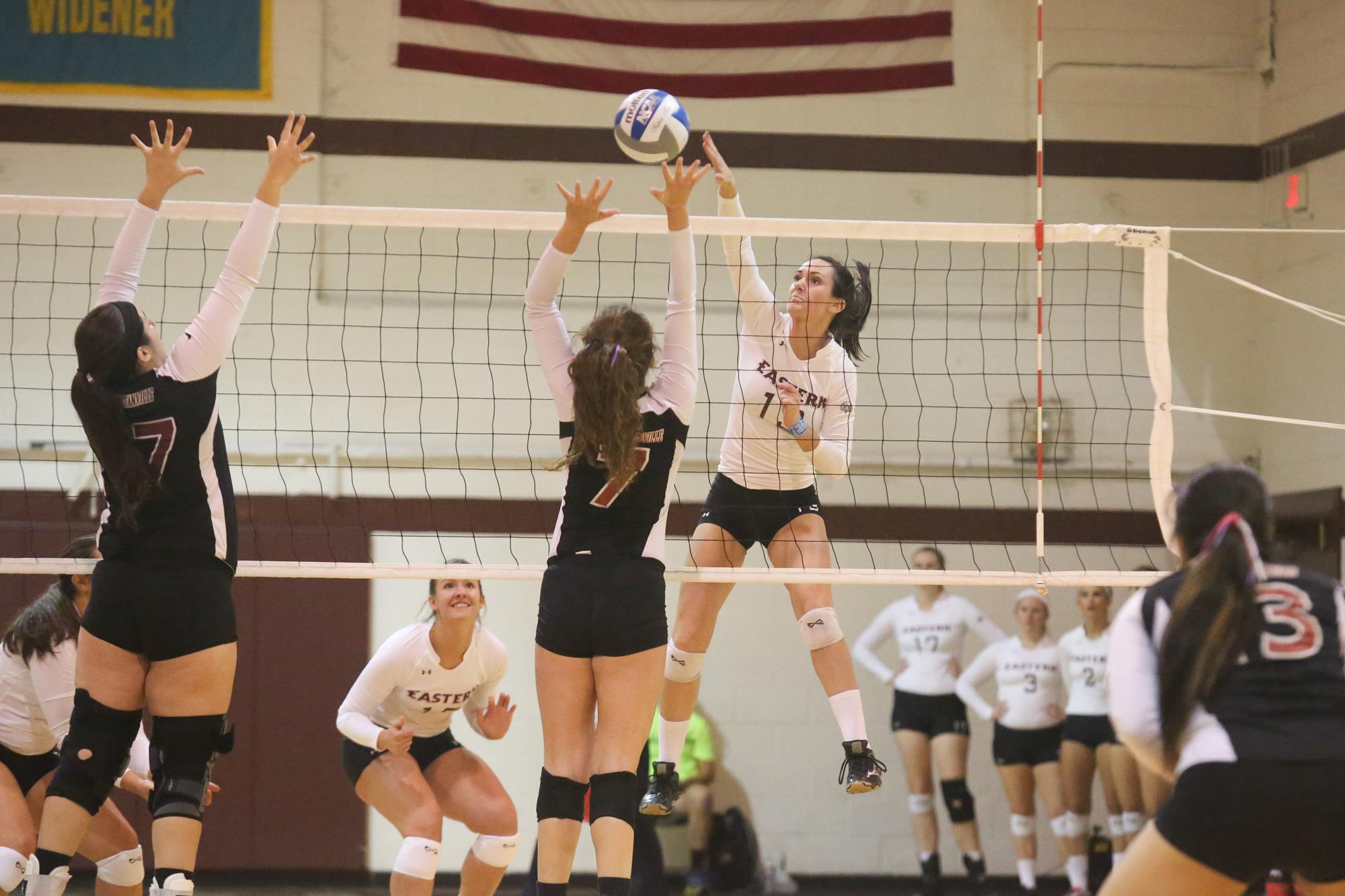 Lauren Sproles - 2014 - Women's Volleyball - Eastern University Athletics