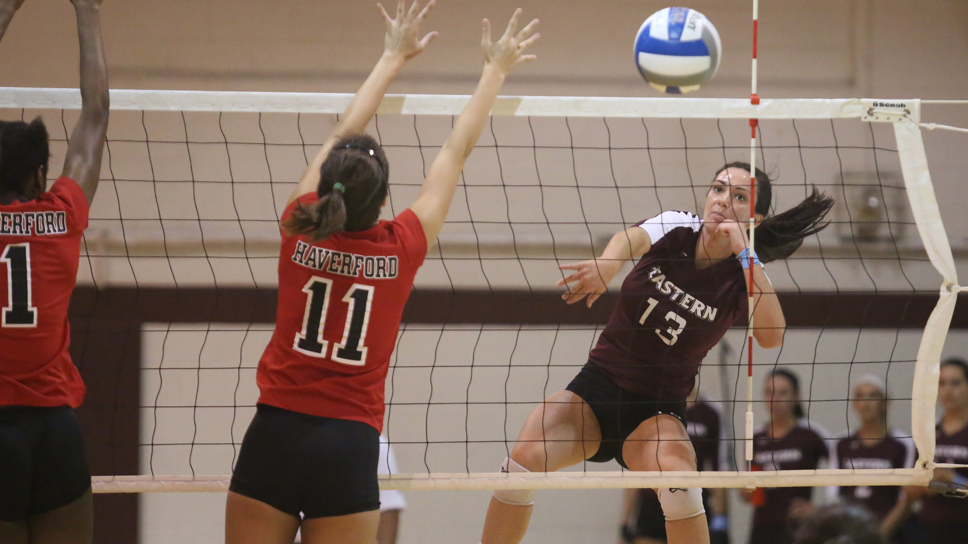 Lauren Sproles - 2014 - Women's Volleyball - Eastern University Athletics
