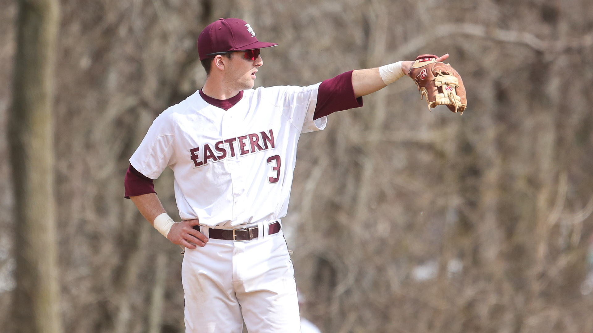 Ryan McMenamin - 2015 - Baseball - Eastern University Athletics