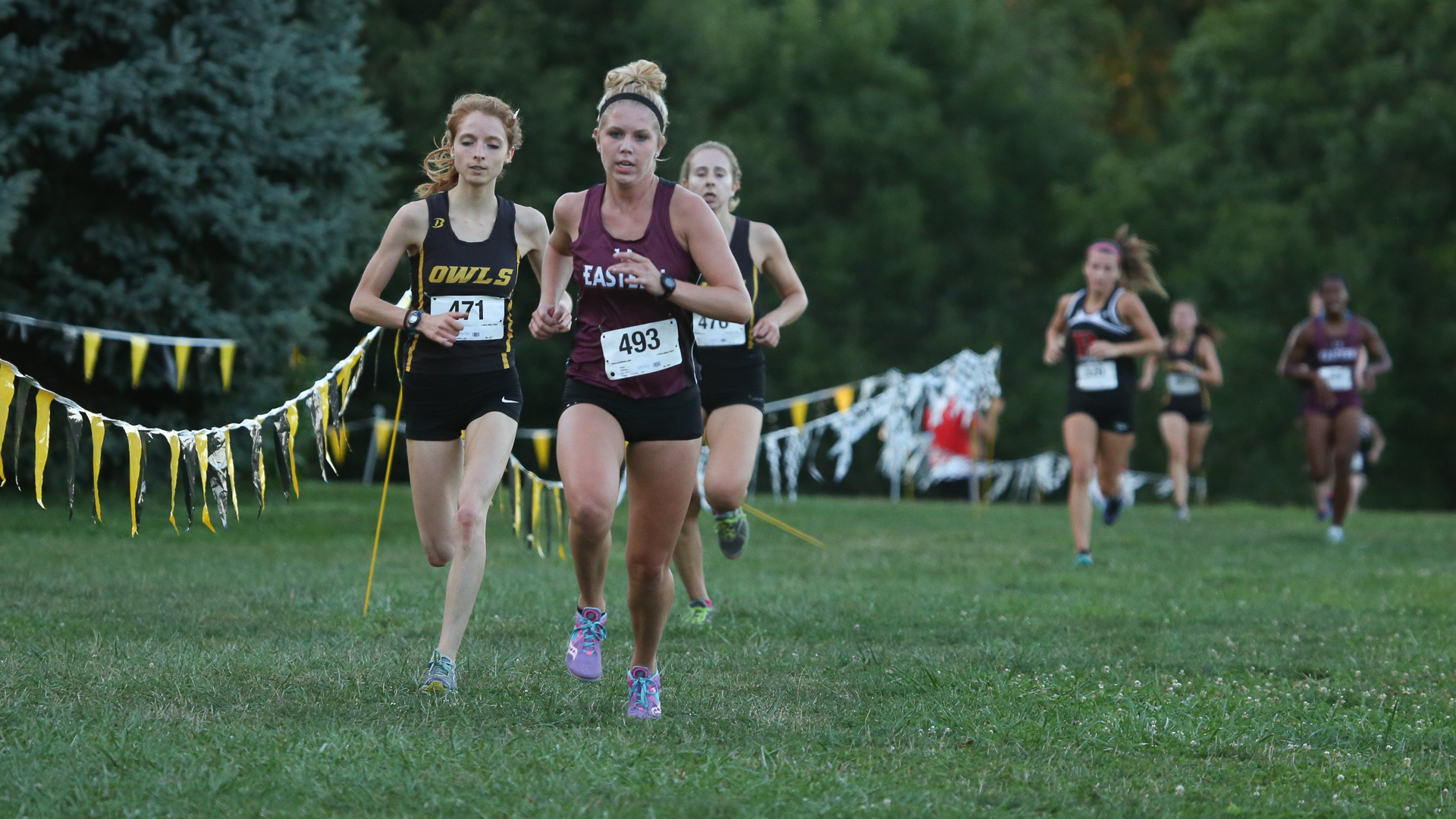 Sami Koester - 2014 - Women's Cross Country - Eastern University Athletics