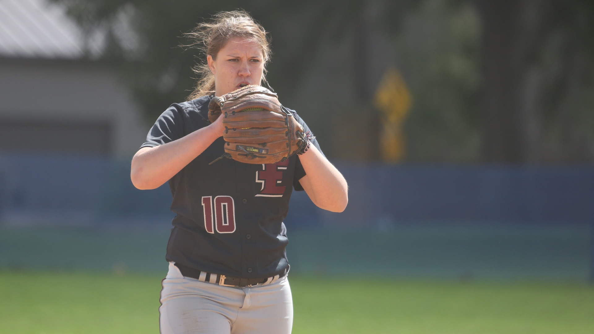 Janelle Fair - 2013 - Softball - Eastern University Athletics