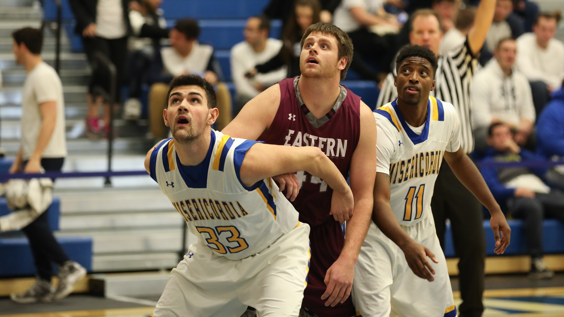 Brett Wolf - 2017-18 - Men's Basketball - Eastern University Athletics