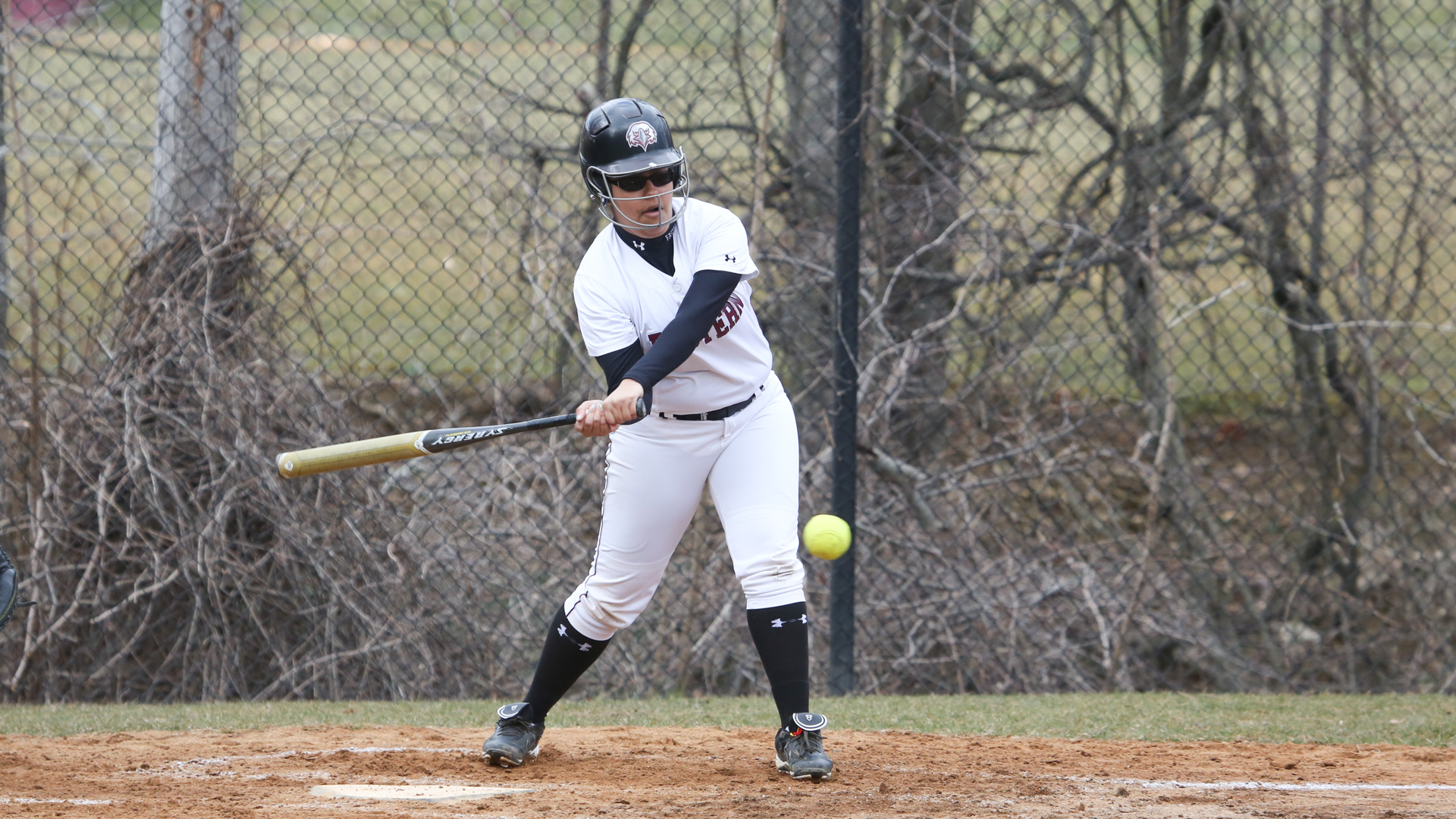 Ariel Polanco - 2013 - Softball - Eastern University Athletics