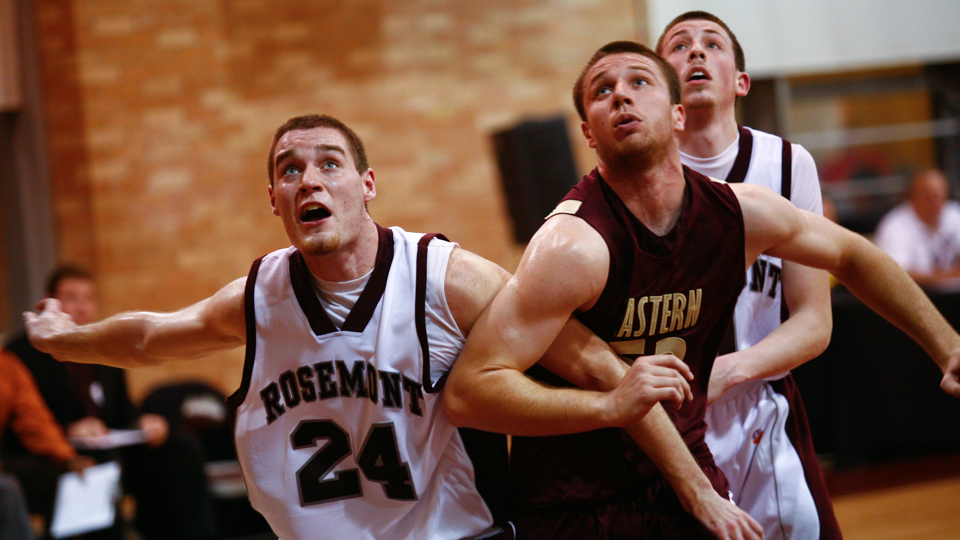 Kyle Malloy - 2012-13 - Men's Basketball - Eastern University Athletics