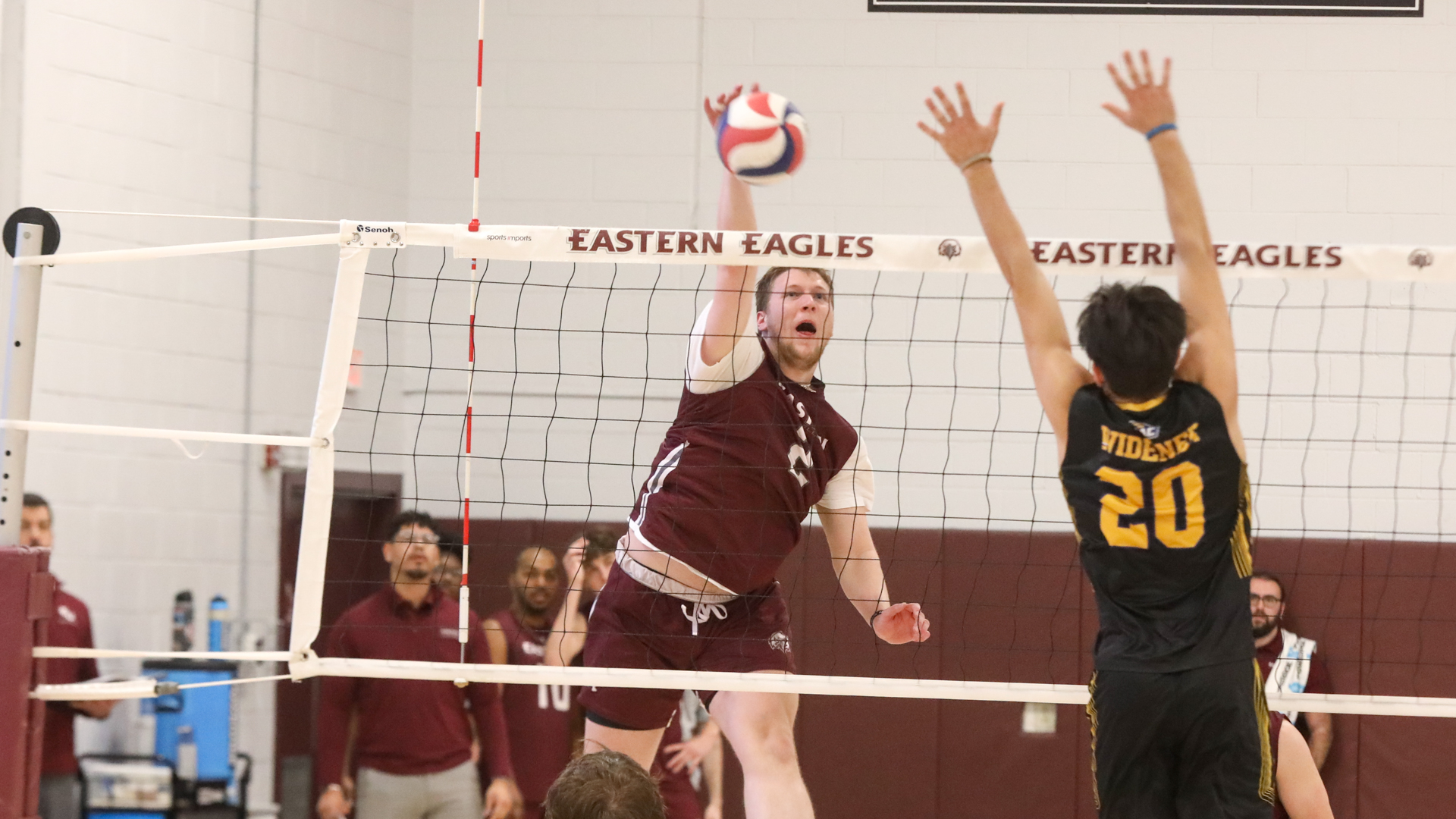 Men's Volleyball Drops Pair at Arcadia - Eastern University Athletics