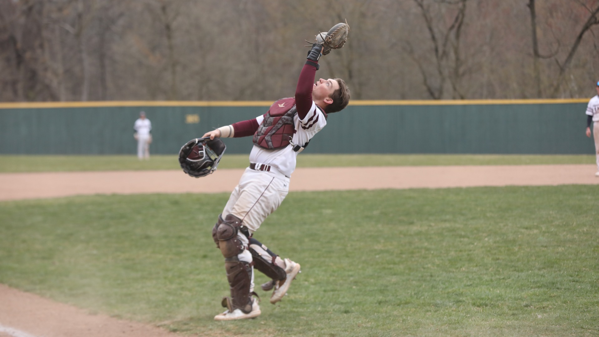 Griffin Falco - 2024 - Baseball - Eastern University Athletics