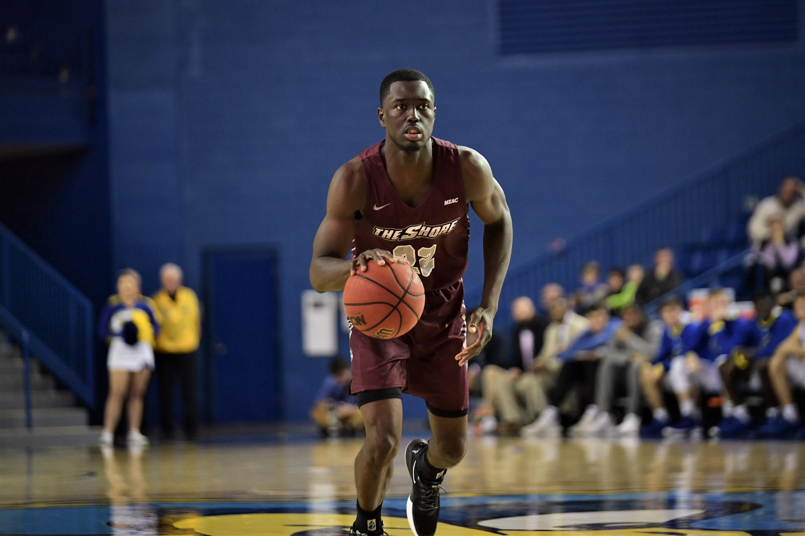 Gabriel Gyamfi - Men's Basketball - University of Maryland Eastern ...