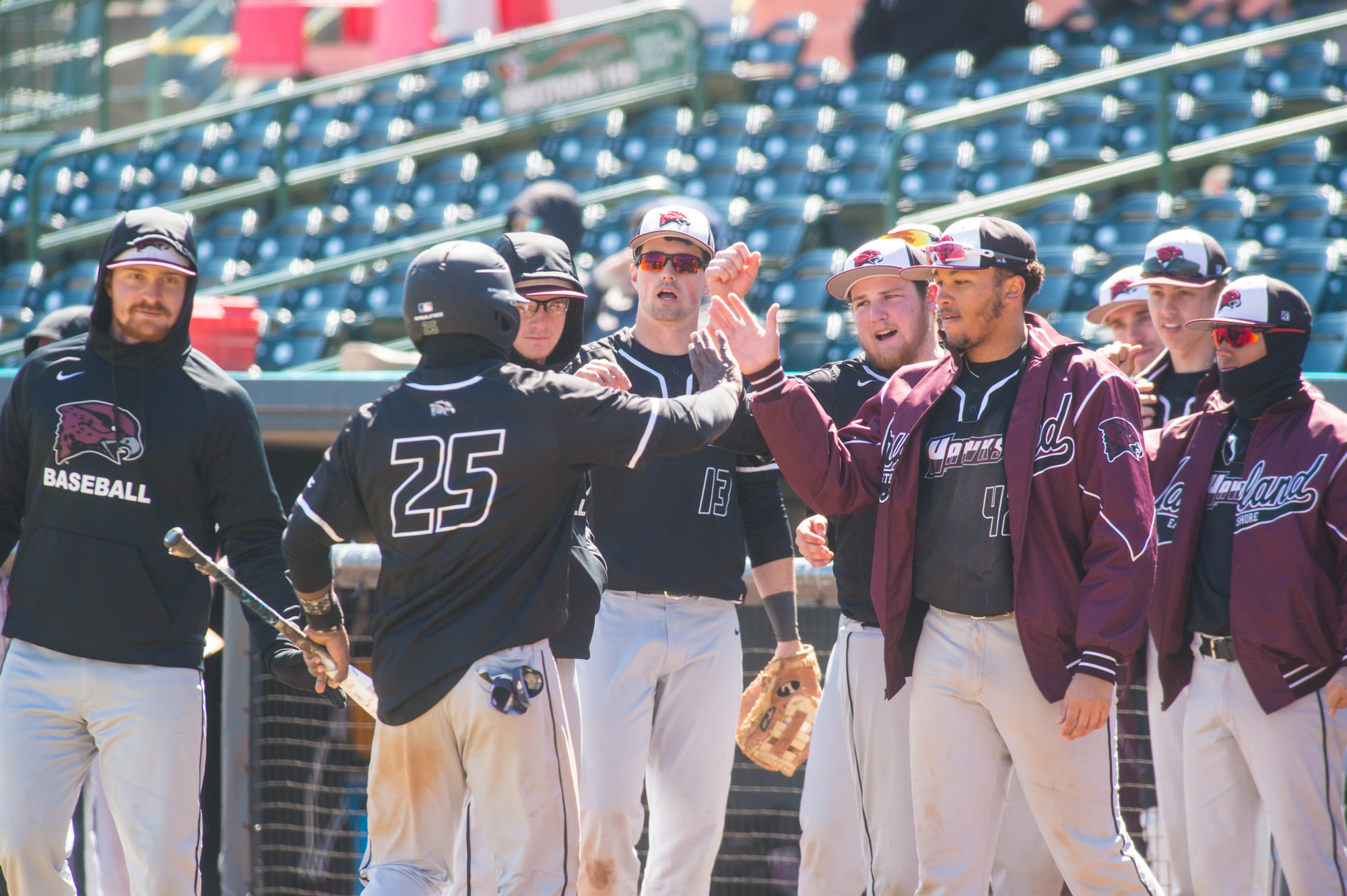 D.J. Doherty - Baseball - University of Maryland Eastern Shore Athletics