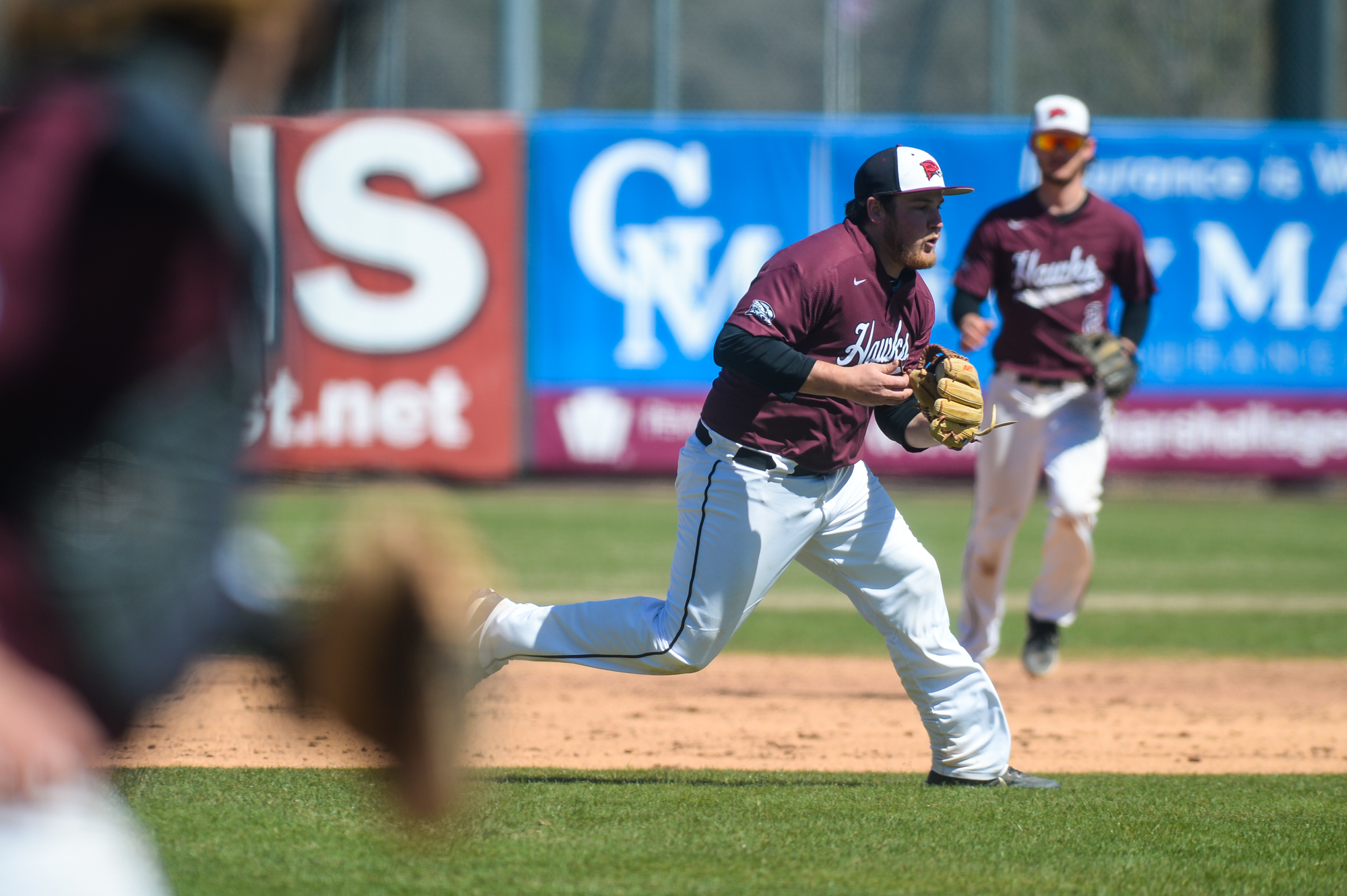 D.J. Doherty - Baseball - University of Maryland Eastern Shore Athletics
