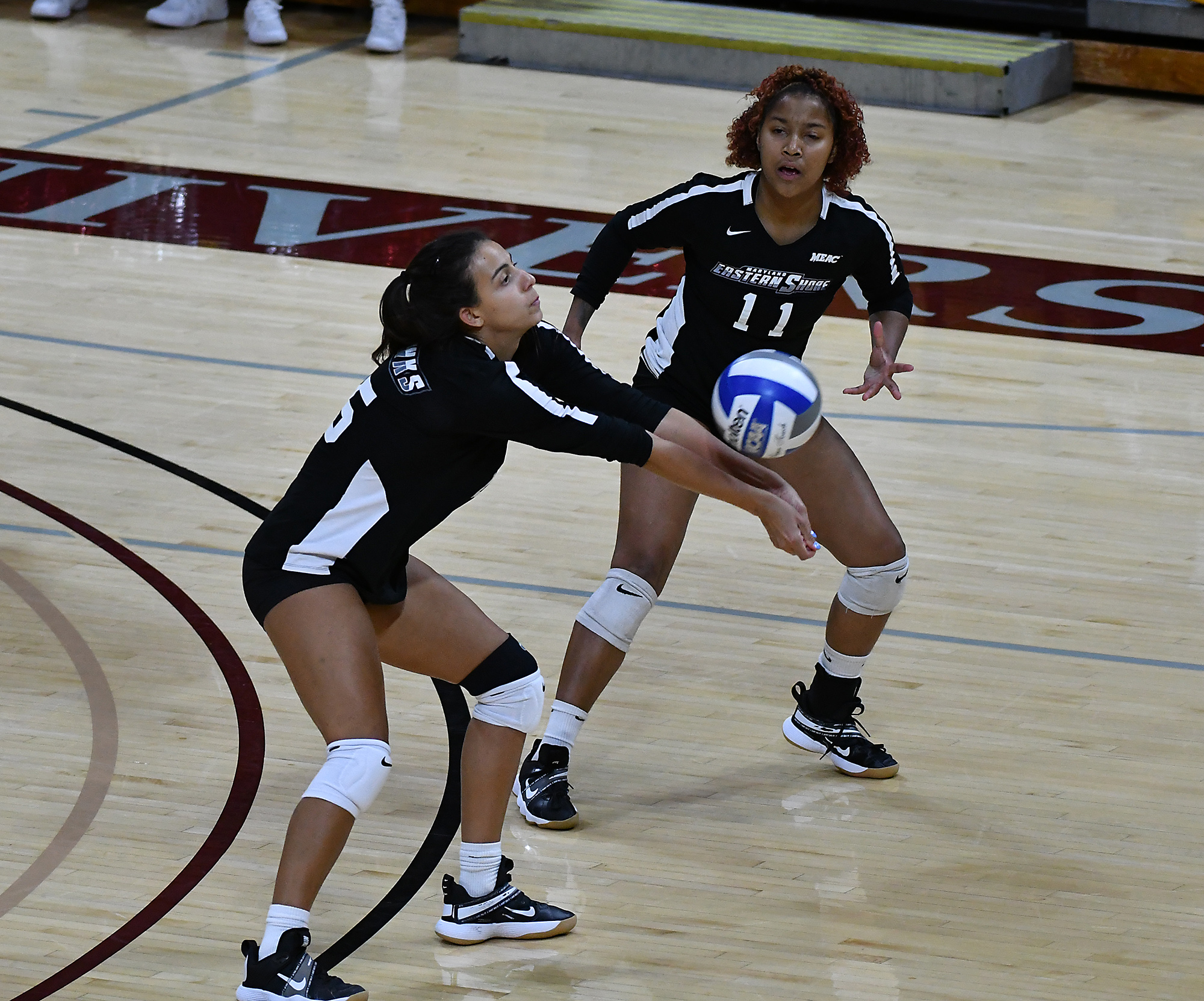 Maya Hendricks - Women's Volleyball - University of Maryland Eastern ...