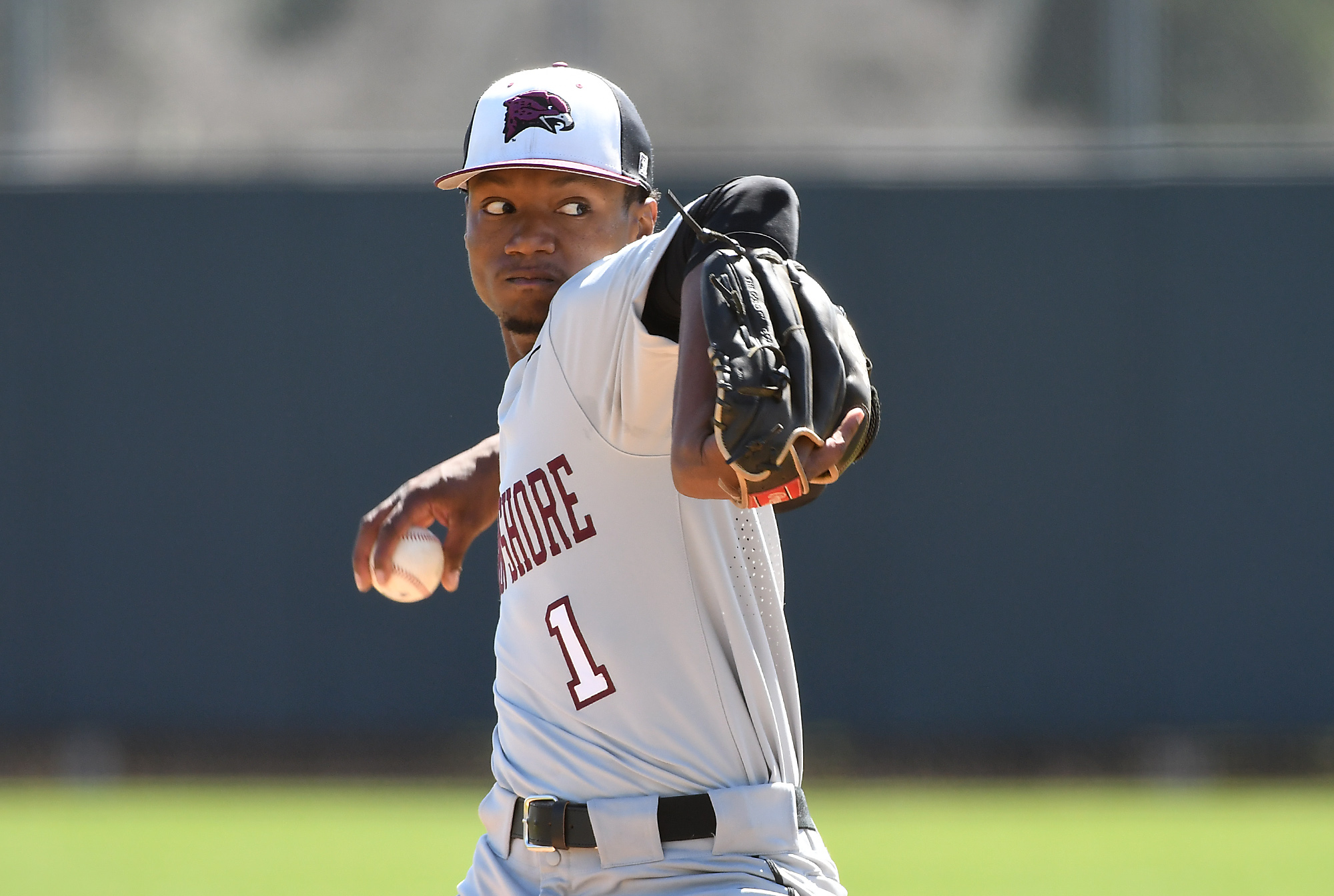 Derrick Rabb, Jr. - Baseball - University of Maryland Eastern Shore ...