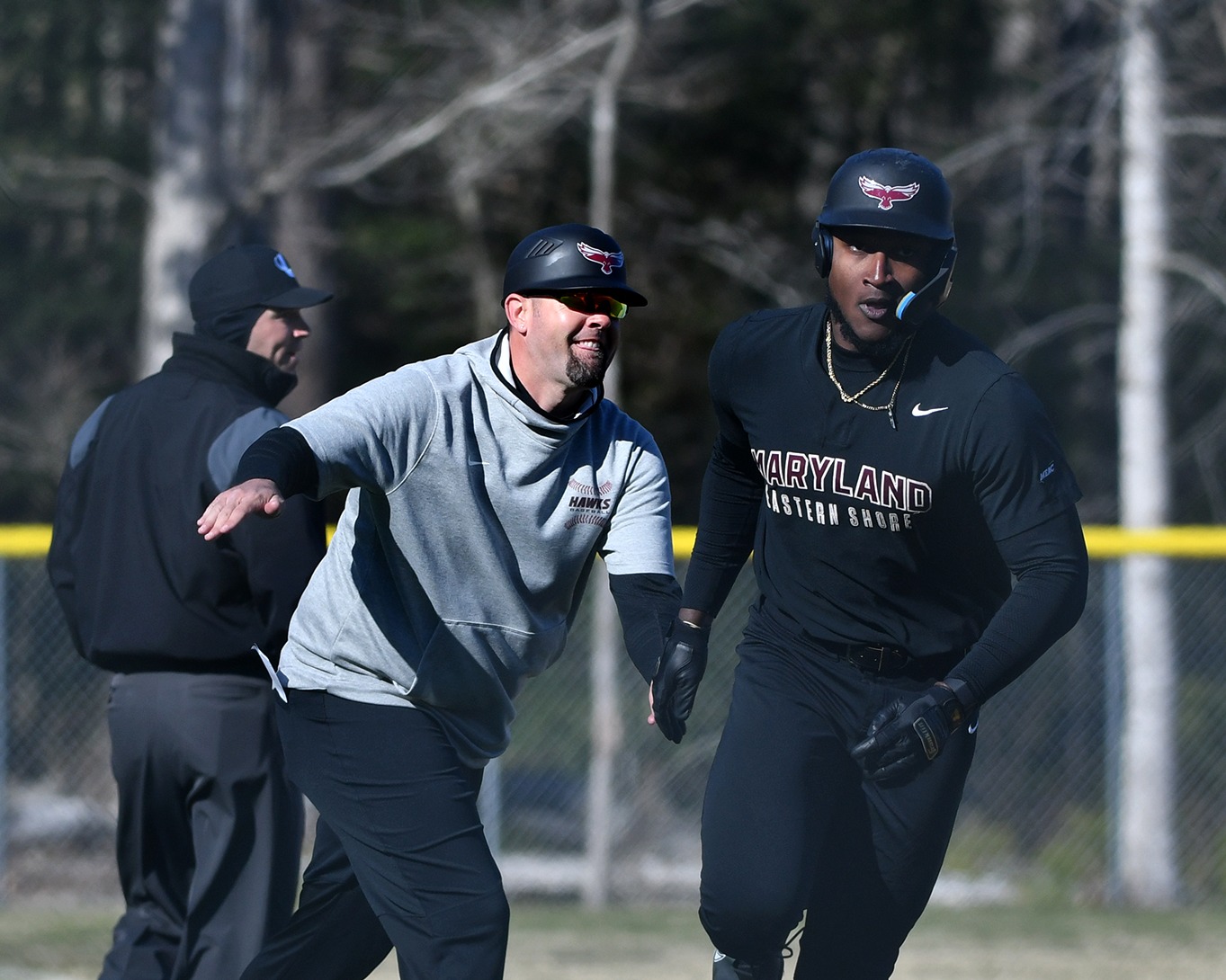 Alex McCoy - Baseball - University of Maryland Eastern Shore Athletics
