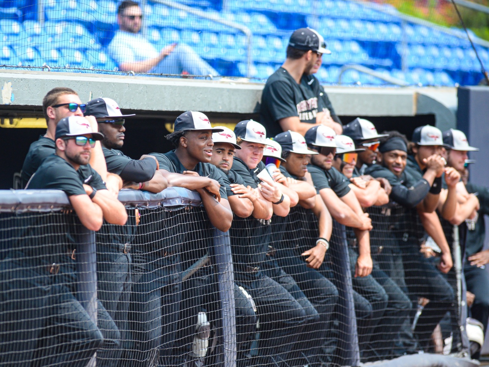 Hawk Baseball Lands 17 on NEC Academic Honor Roll - University of ...