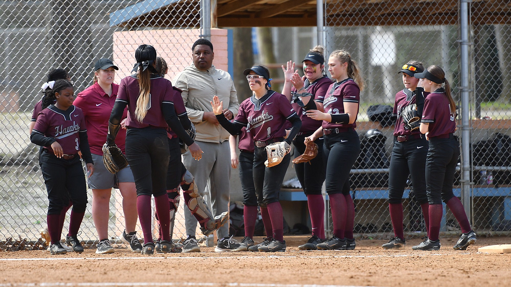 Softball Swept at Morgan State in MEAC Weekend - University of Maryland ...