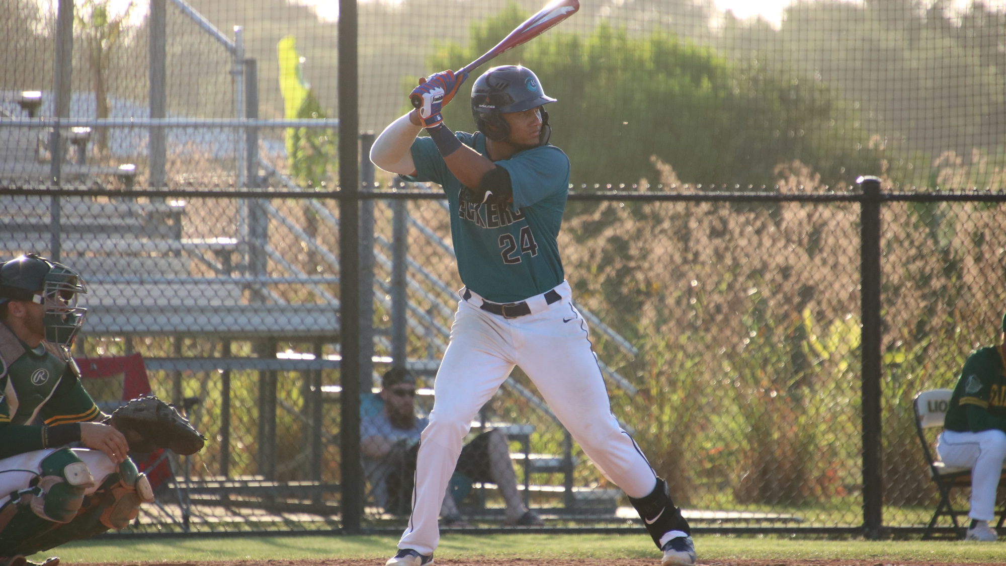 Bryan Torres - Baseball - Eckerd College Athletics