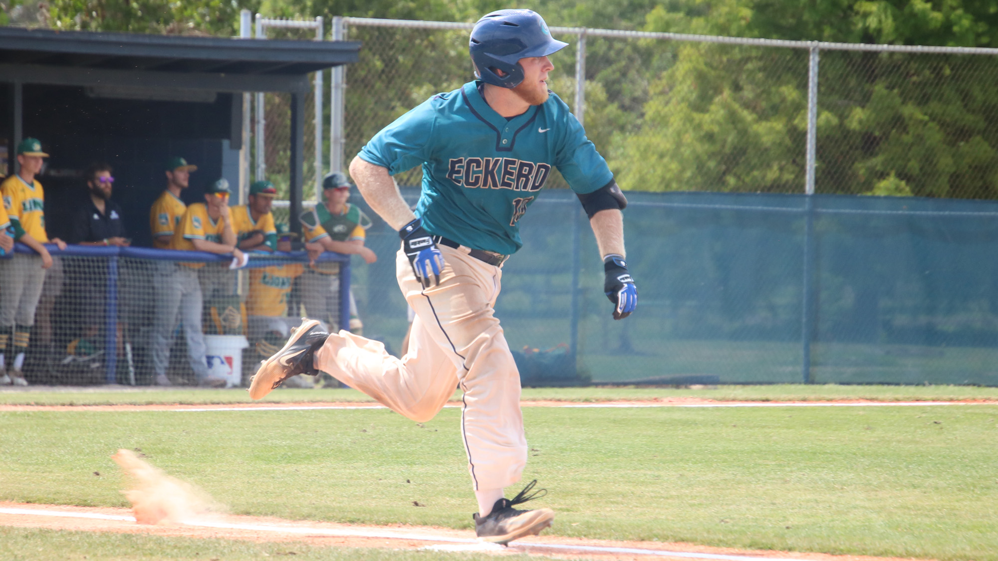 Mitch Calandra - Baseball - Eckerd College Athletics