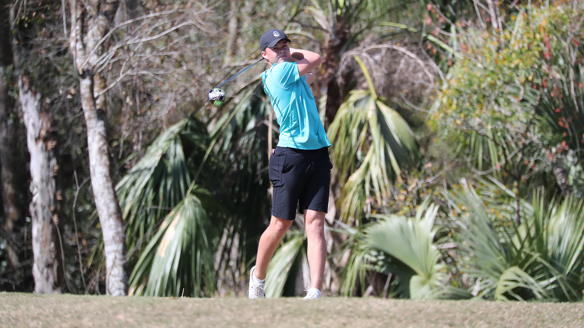 Tim Scholl - Men's Golf - Eckerd College Athletics