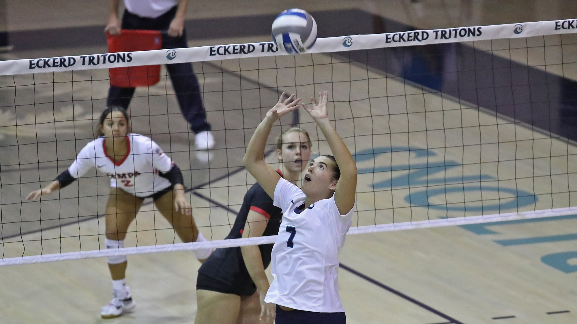 Krysten Garrison - Volleyball - Eckerd College Athletics