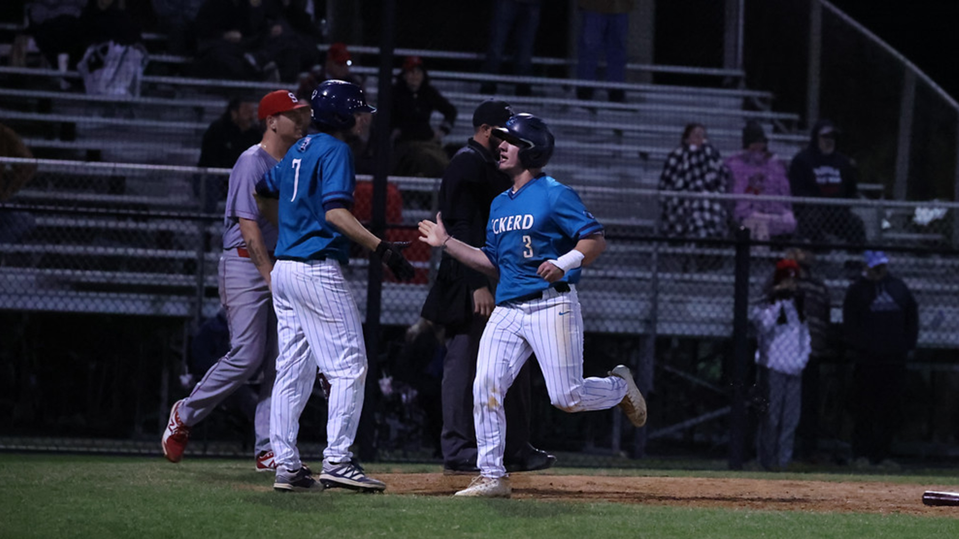 Mitch Donofrio - Baseball - Eckerd College Athletics