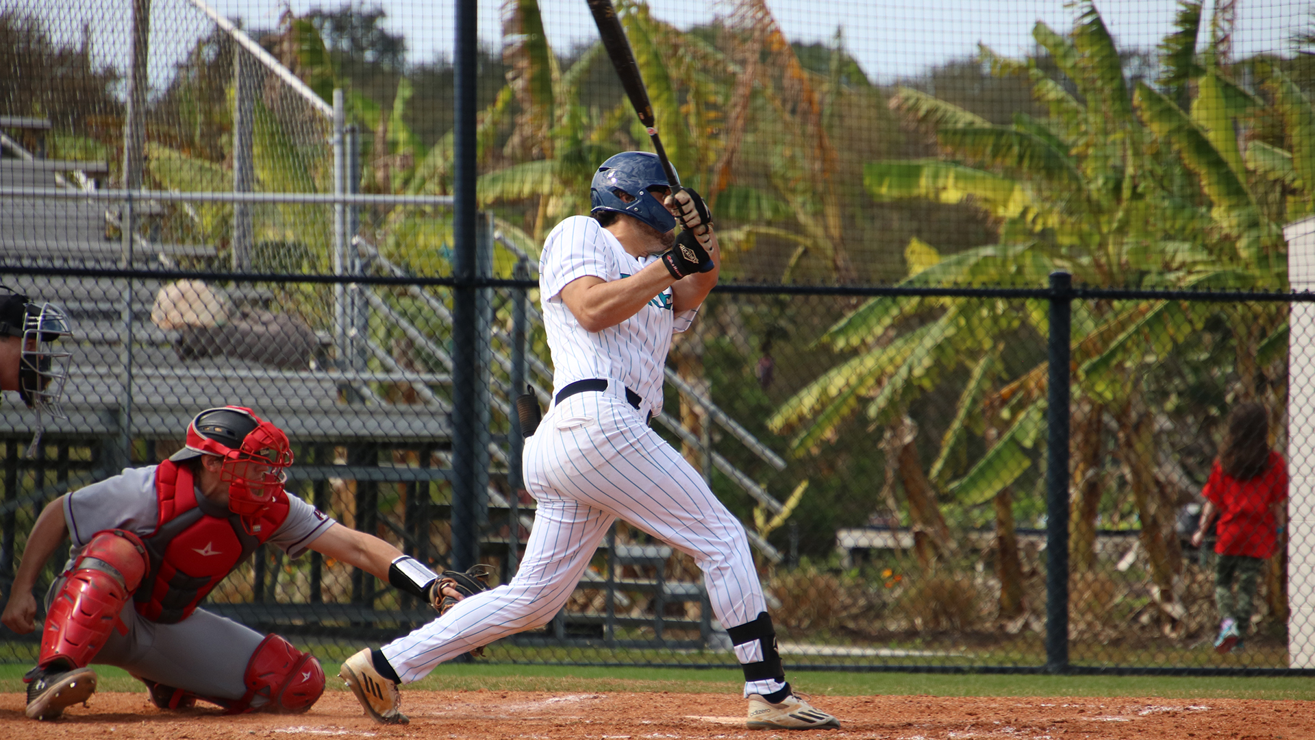 Joe Muzio - Baseball - Eckerd College Athletics