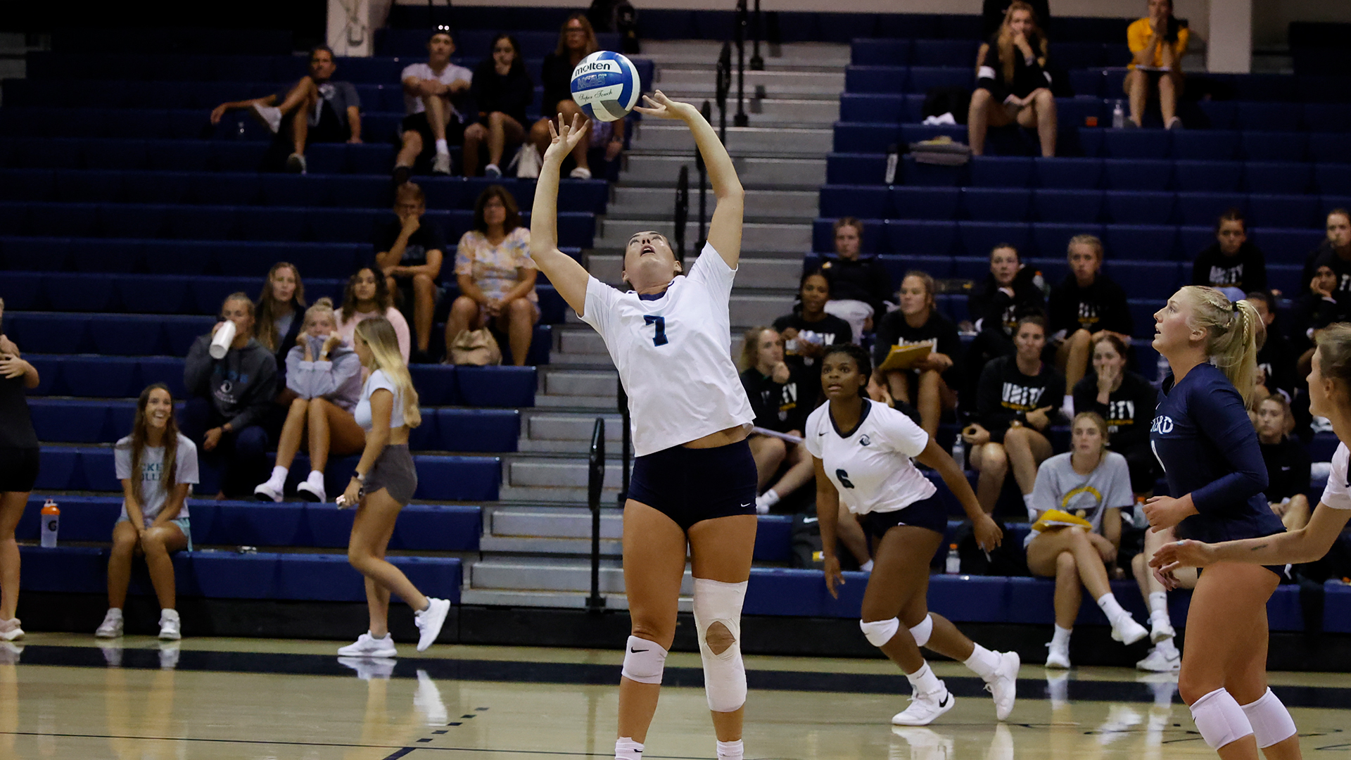 Krysten Garrison - Volleyball - Eckerd College Athletics