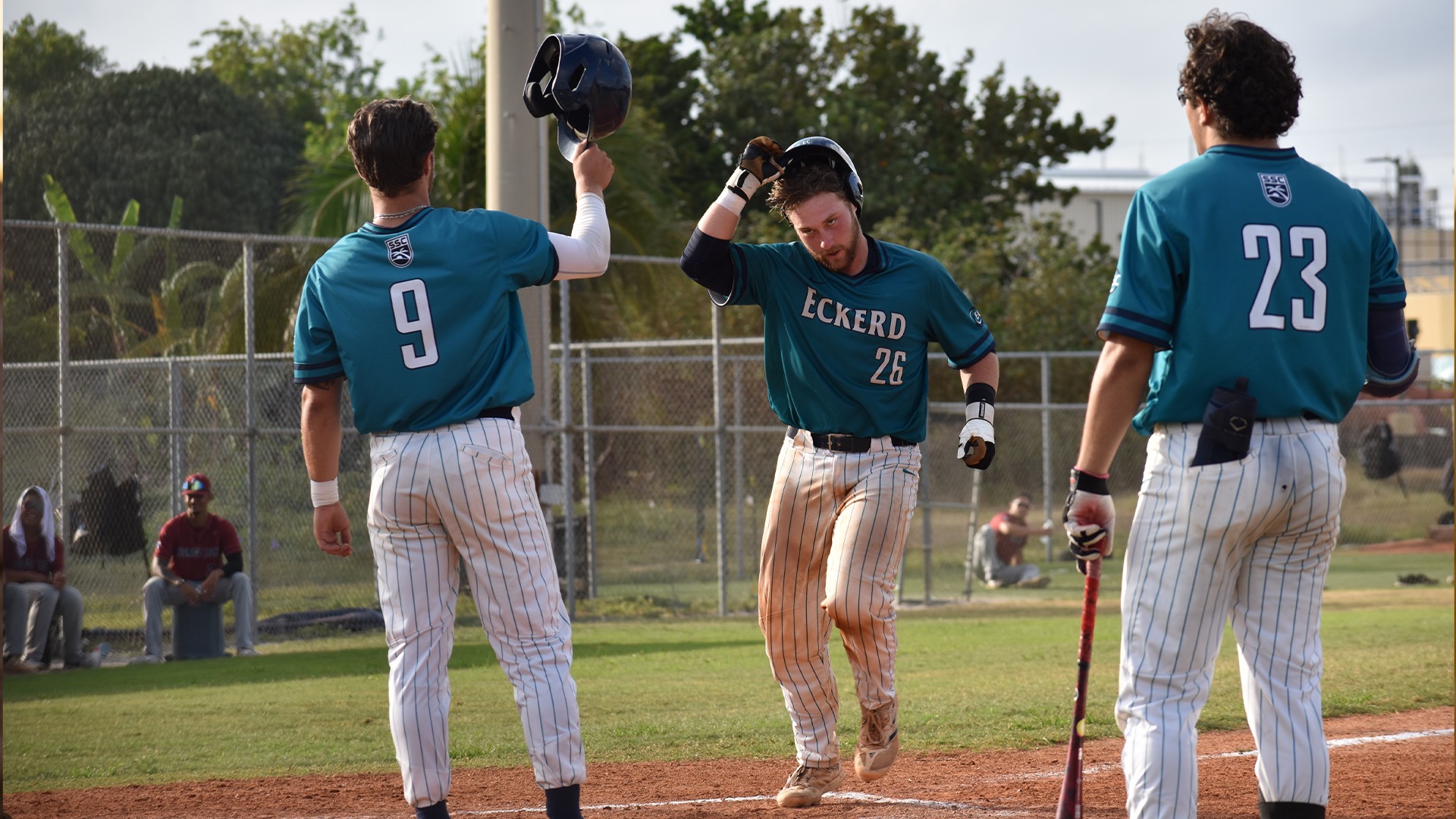 Cam Collier - Baseball - Eckerd College Athletics