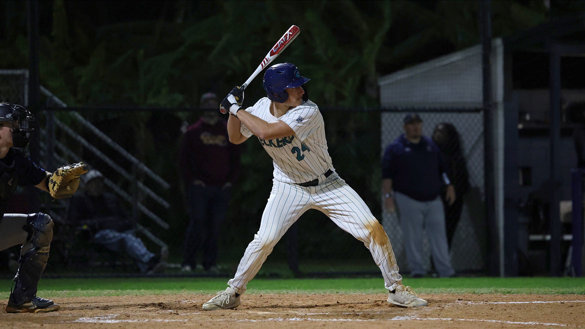 Tyler Young - Baseball - Eckerd College Athletics
