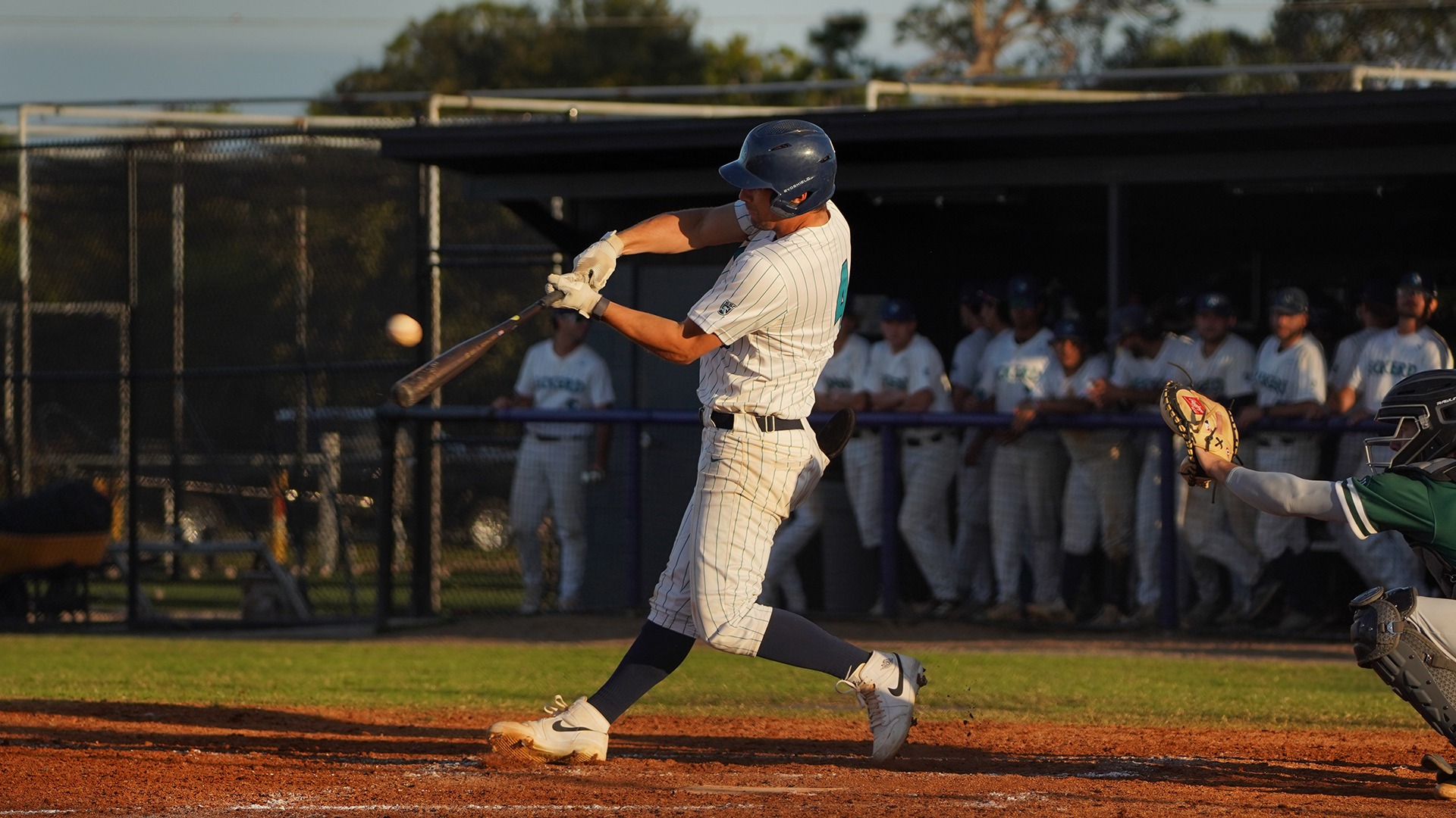 Tyler Cox - Baseball - Eckerd College Athletics