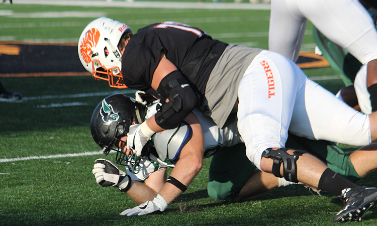 Spencer Damm - Football - East Central University Athletics
