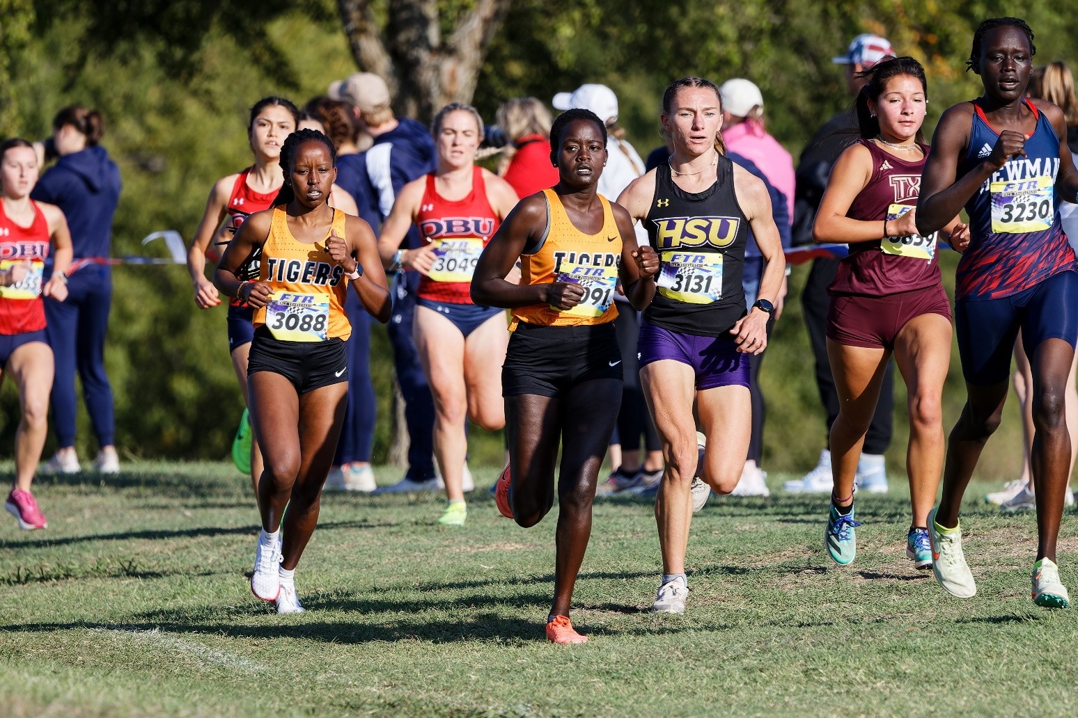 gallop exercise lady