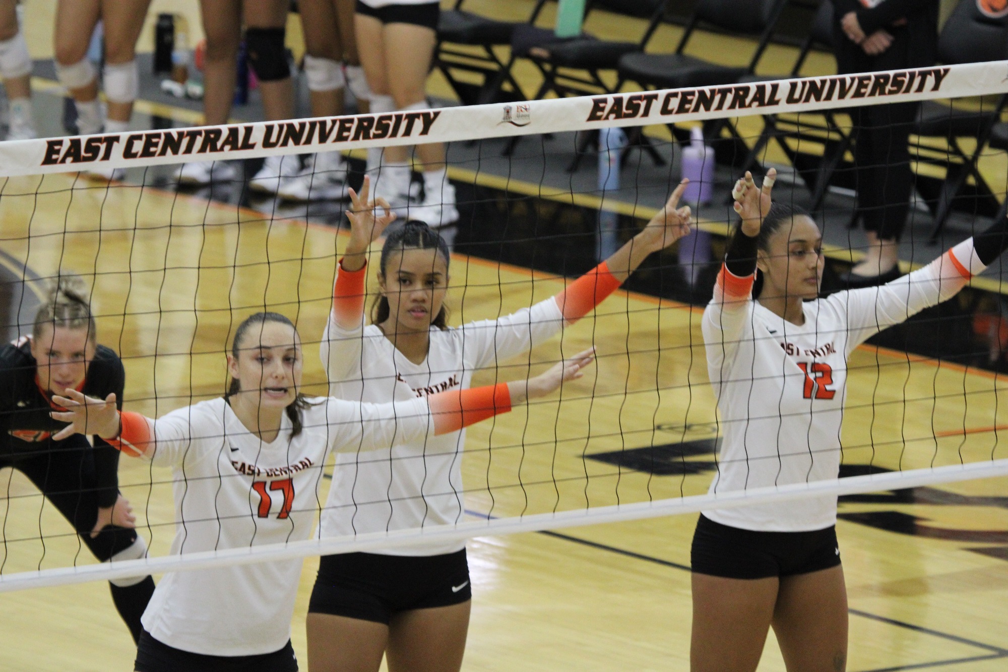 Volleyball Sweeps Langston in Home Opener - East Central University Athletics
