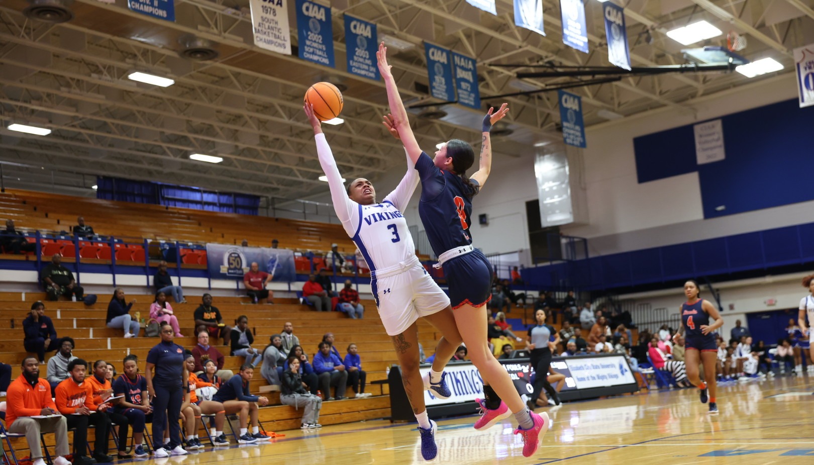 Dy'Jhanik Armfield - Women's Basketball - Elizabeth City State ...