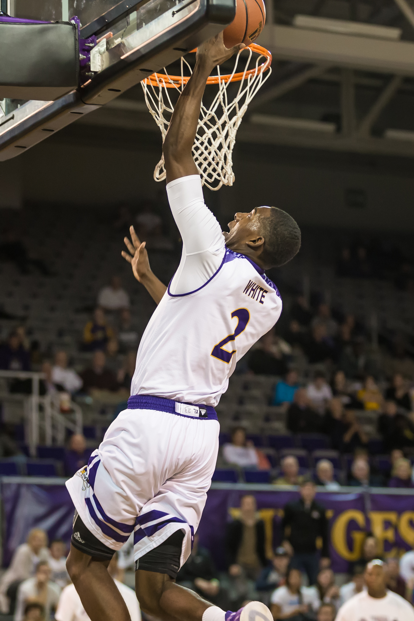 Caleb White - Men's Basketball - East Carolina University Athletics