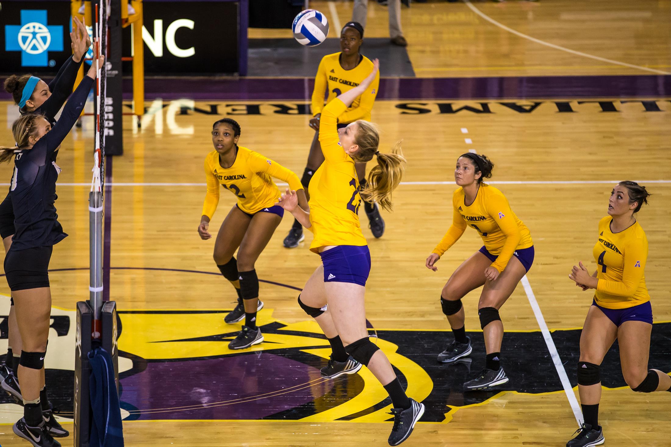 Lael Ceriani - Volleyball - East Carolina University Athletics